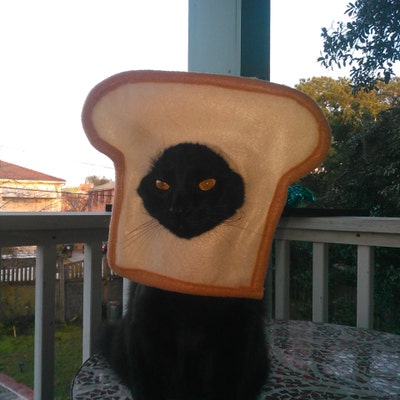 Bread Cat Costume for Cats - Etsy