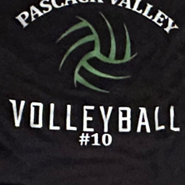 Custom Volleyball Sweat, Player Number Hoodie, Volleyball Season Sweat ...