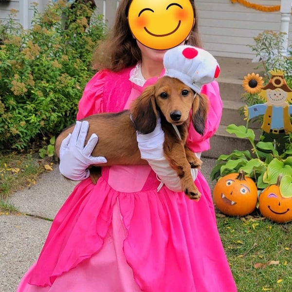Mushroom Pet Hat, Super Mario Dog Costume, Adjustable Fit - Etsy