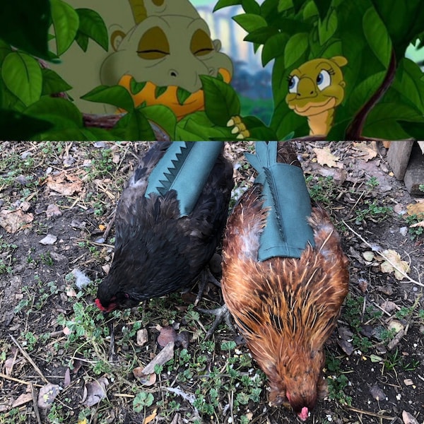 Waterproof Chicken Saddle: Dinosaur Costume Hen Apron With Tail Spikes ...
