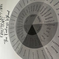 The Human Nervous System, Fight or Flight Response, Human Brain Anatomy ...