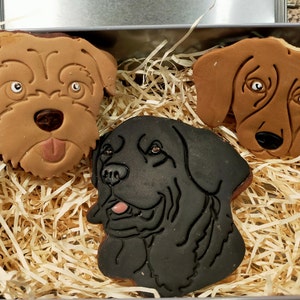 Labrador Retriever Dog Cookie Cutter Pastry Fondant Dough Biscuit - Etsy