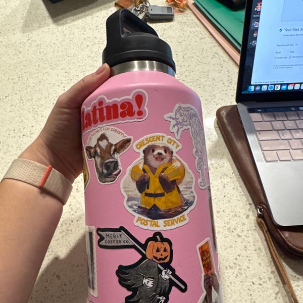 Crescent City Otter Sticker | Lunathion Postal Service - Etsy