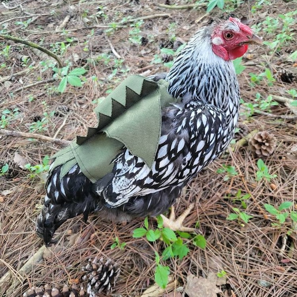 Chicken Saddle, Chicken Apron, Chicken Saddle With Wing Guard, Chicken ...