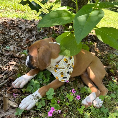 Adult Headband 2000s Style Headbands for Women Yoga - Etsy