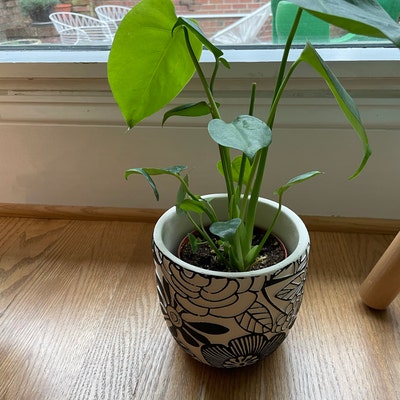 Embossed Planter, 5 Pot, Large Pot, 3D Pot, Patterned Pot, Textured Pot ...