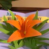DIY Pop-up Lily Card Template SVG and PDF Files for Instant Download - Etsy