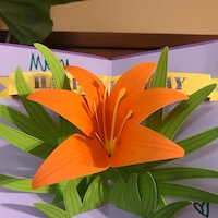 DIY Pop-up Lily Card Template SVG and PDF Files for Instant Download ...