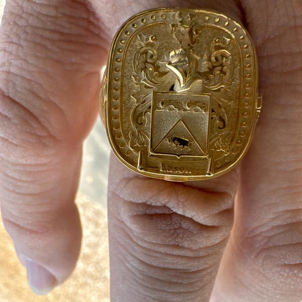 Ram Skull Gothic Mens Signet Ring in Silver, Aries Memento Mori Silver ...