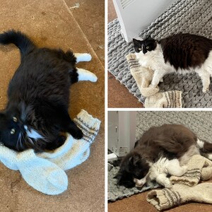 3 Pcs Titanium Bulletproof Plates for Body Armor 105125 Mm - Etsy