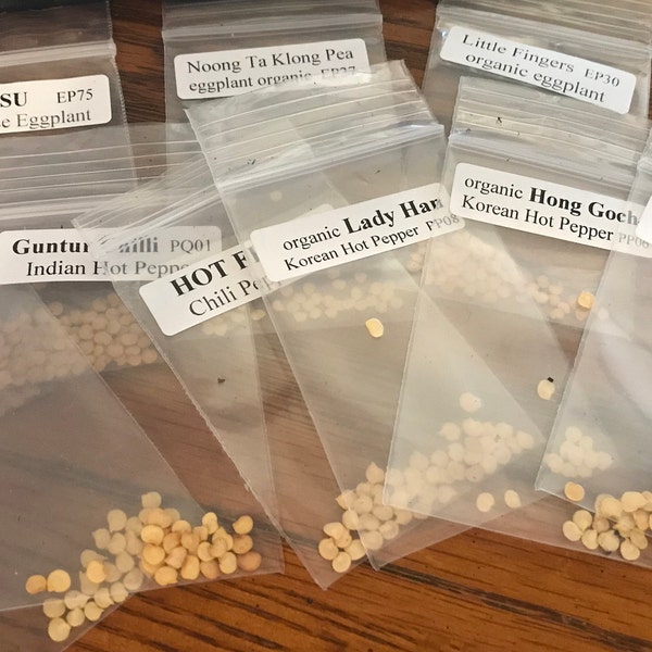 20 Organic Lady Han Korean Hot Pepper Chili Seeds, Sourced From ...