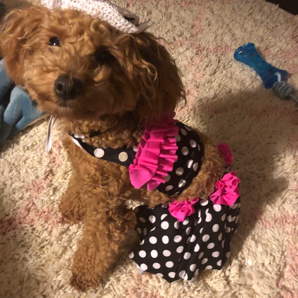 DOG BIKINI, Dog Polka Dotty Ruffles Bikini, Dog Swimm Wear, Summer ...