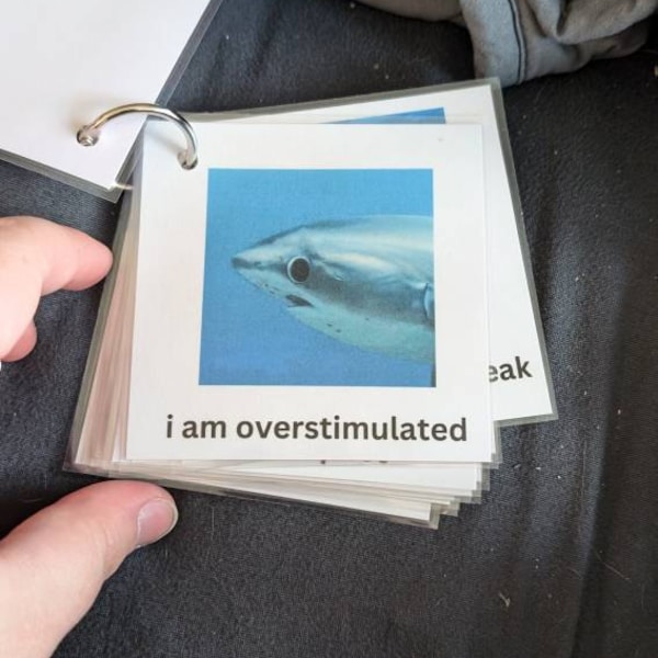 Custom Themed Set of Communication Cards (AAC, Nonverbal Aid, Autism ...