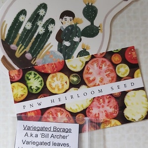 Shadow boxing dwarf tomato. Heirloom tomato seed | Etsy