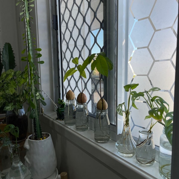 Honeycomb Frosted Window Film, Hexagon Window Decal, Geometric Etched ...