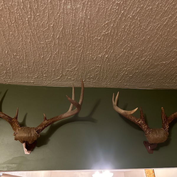 Skull Cap Mount Hanger - Etsy