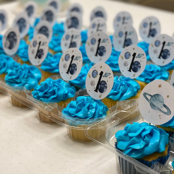 Outer Space Birthday Cupcake Toppers First Trip Around the Sun Favor ...