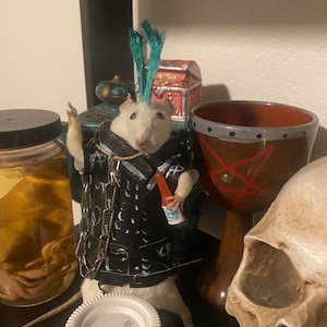 Taxidermy Rat Clown Mouse horror Taxidermy - Etsy