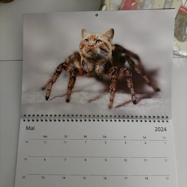 Space Cats Calendar 2024, Cat Wall Calendar, Cats in Space Annual ...