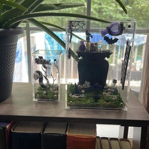 Witch Themed Enclosure - Etsy