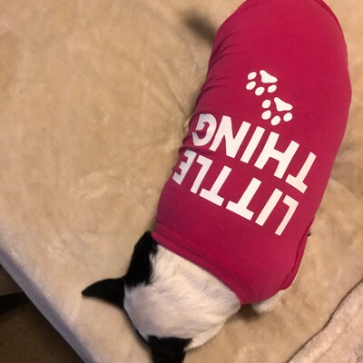 Matching Pet Owner Set, Dog Lover Gift, Couple Matching,pet Clothing ...