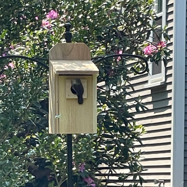 2 Cedar Bluebird Houses-hand Crafted, Rough Cut Cedar - Etsy