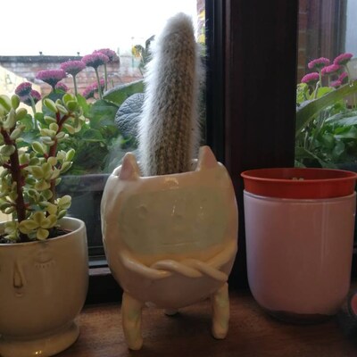 The Grumpopuff Collection Handmade Ceramic Succulent Cactus Pot ...