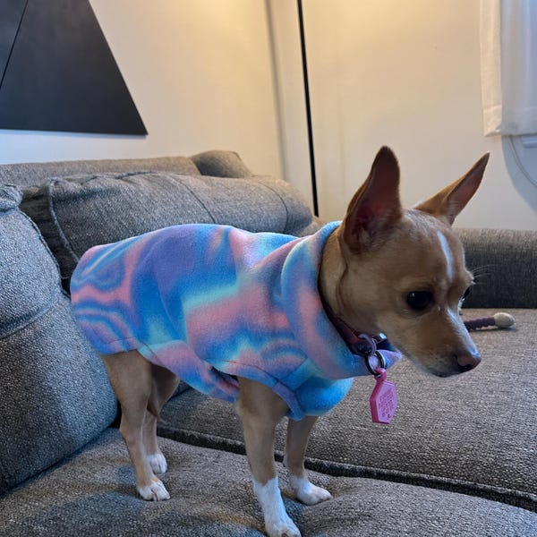 Dog Fleece Polo PDF Sewing Pattern Sizes XXS to 3XL (8 Sizes) Instant ...
