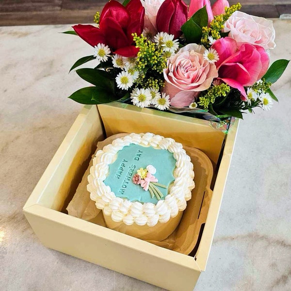 5 Cake and Cupcakes Combo Bento Boxes With Clear Lid and Cupcake Holes ...