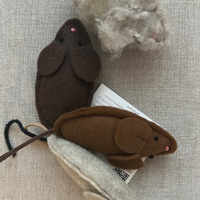 Cat Teaser Wand Cat Toy Star Cat Toys Wand Cute Cat Toys - Etsy