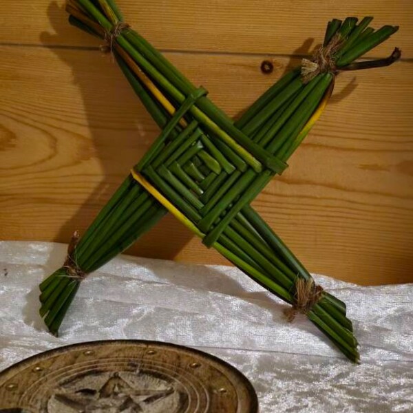 Devil Pod / Bat Nut / Water Caltrop /trapa Bicornis - Protective Amulet ...