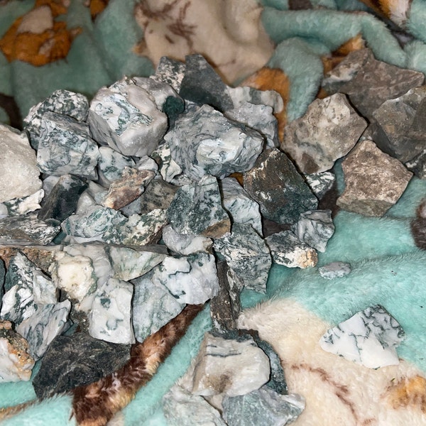 Tree Agate Rough Natural Stones: Choose Ounces or Lb Bulk Wholesale ...