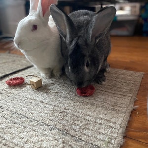Bamboo Bungalow Rabbit Hidey House Indoor Rabbit Castle With - Etsy