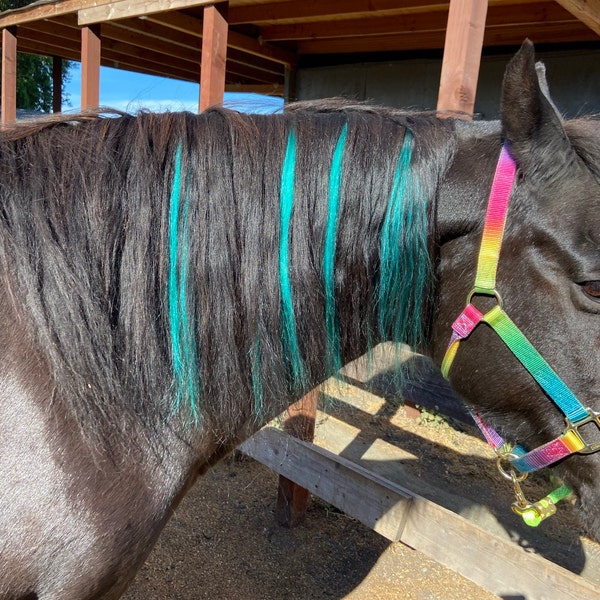 Design Your Own Mane Hair Extensions for Horses (perfect for Parties ...