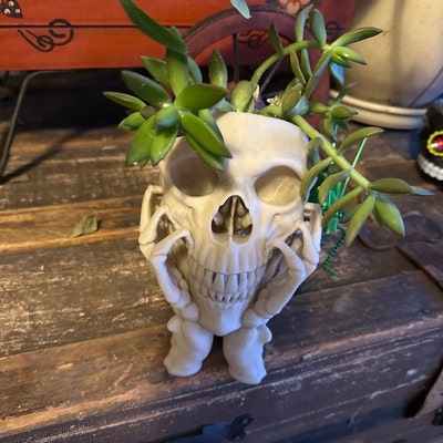 Happy Skull Horror Planter Unique Plant Pot, Witchy/goth Decor Bedroom ...