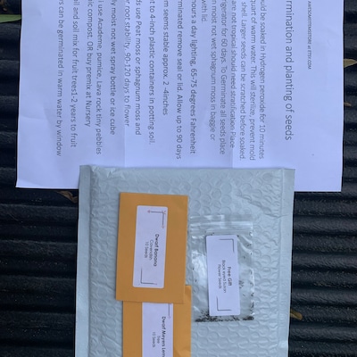 100 White Dove Orchid Flower Seed and 20 Laughing Bumblebee Seed High ...