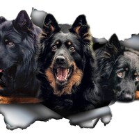 English Shepherd Car Decal, English Shepherd Magnet, English Shepherd ...