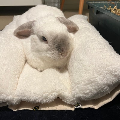 Digital Download Plans for Luxury Bunny Cubby Free Roam Bunnies Cat ...