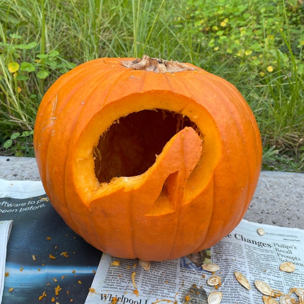 Highland Cow Pumpkin Carving Stencil | 1 Unique Cute Fluffy Cow ...