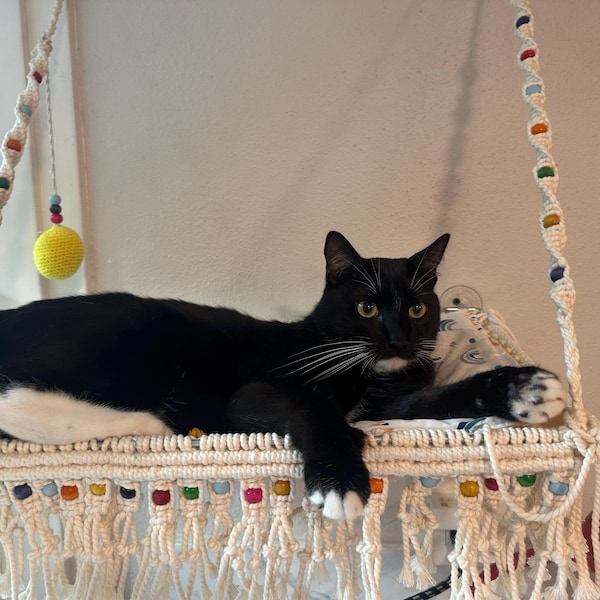 Cat Window Bed, Macrame Cat Window Hammock, Express Shipping , Cat ...