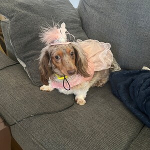 Star Spangled Girl Dog Harness Dress Xxsmall to 4xlarge Dog - Etsy