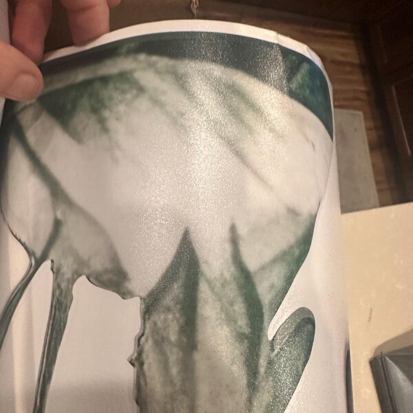 Realistic 3D Tiger Face Wall Decal Fierce and Majestic Tiger Sticker ...