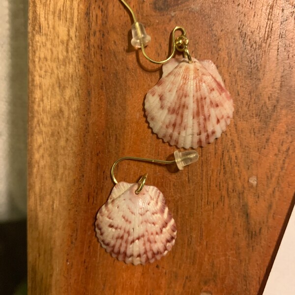 Seashell Frog With Fan, Frog Figurine, Seashell Art, Sanibel Island ...