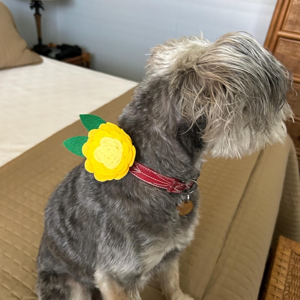 Rose Collar Flower for Large Dogs, Spring Summer Floral Collar ...