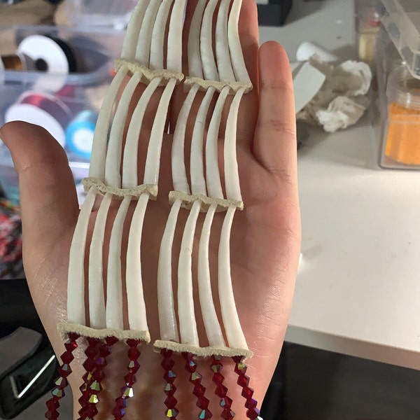 100 Pieces 1.75 Inch Smooth Dentalium Shells, White Color Tusk Shells ...