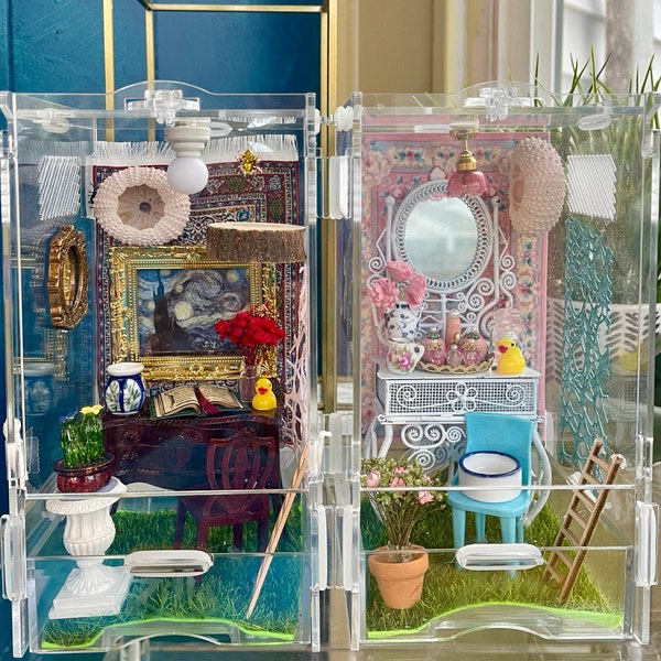 Picture Perfect Jumping Spider Enclosure Habitat,4x4x8, Jumping Spider ...