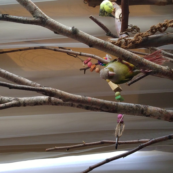 Parakeet Small Bird Tree Base Only - Etsy