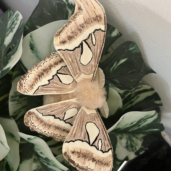 Hercules Moth , Needle Felted, Moth Figurine, Decoration, Handmade ...