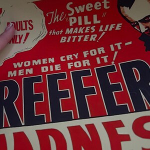 White Flower Poster - Retro Floral Print - Spring Blossoms Art - Groovy ...