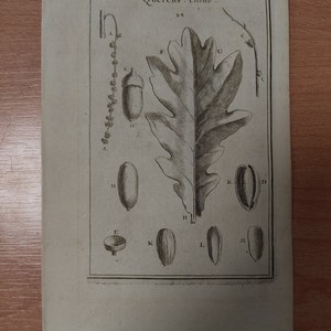 1908 Lunar Phase. Phase of the Moon. Antique Moon Map. - Etsy